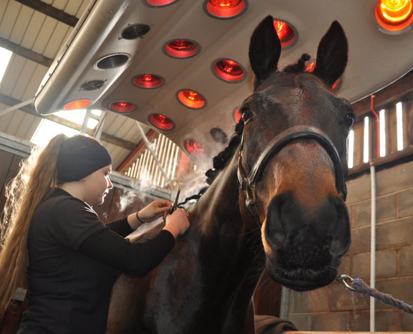 Horse Care Apprentices enjoy demo day - Reaseheath College