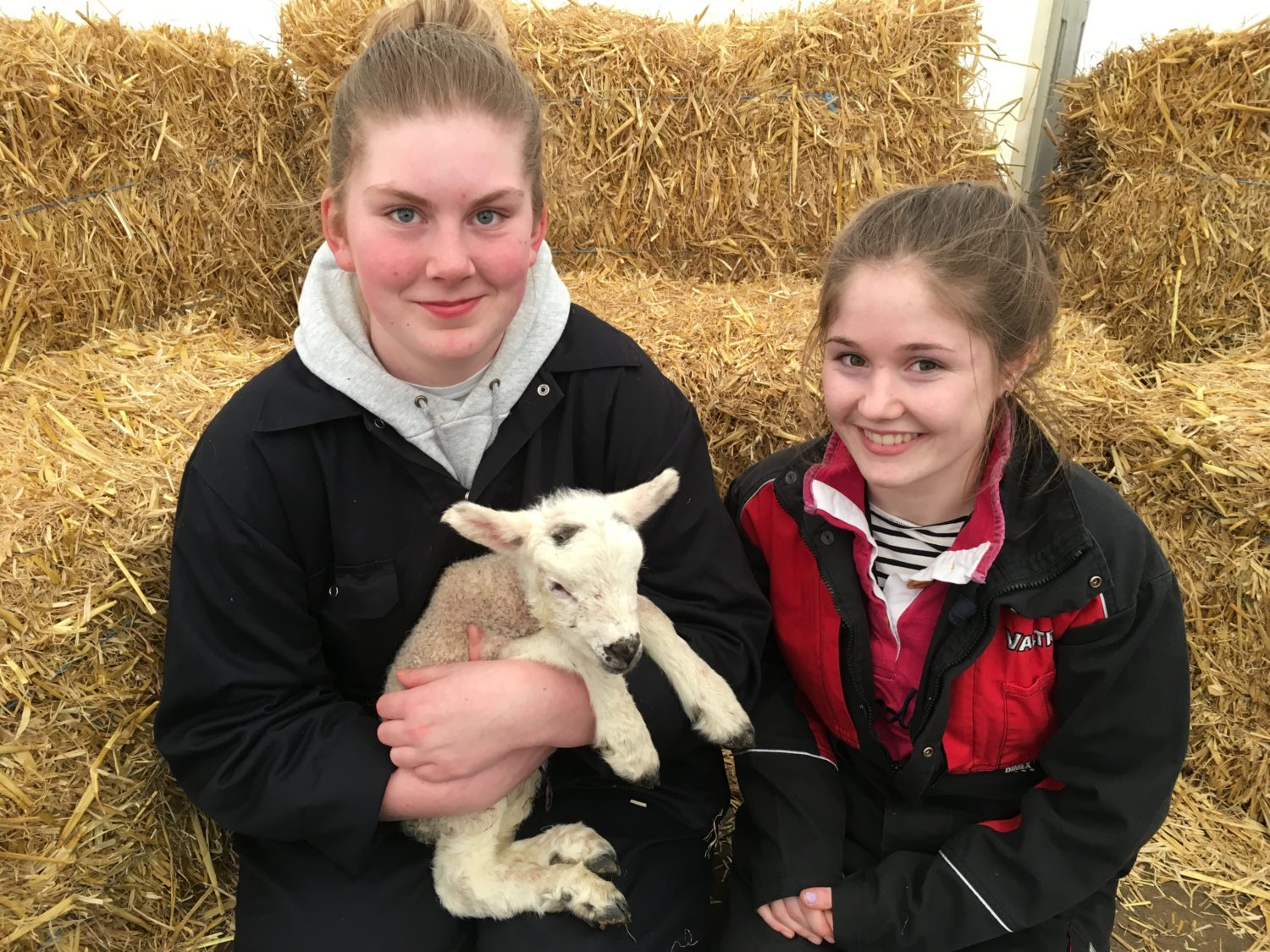Reaseheath agric students Sophie Kirk and Lauren Bennett - Reaseheath College