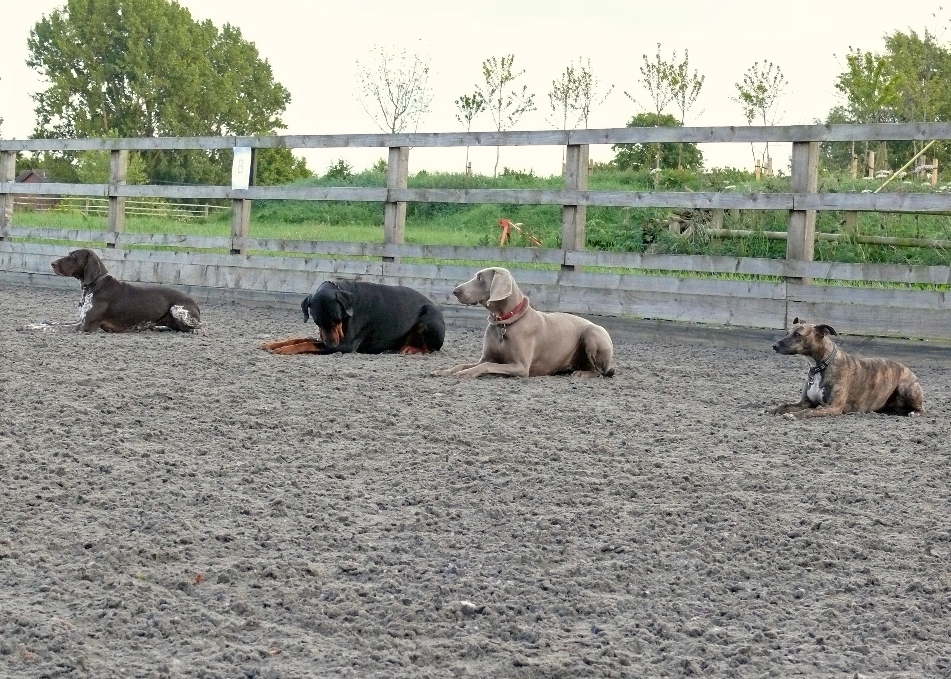 best 6 - Reaseheath College