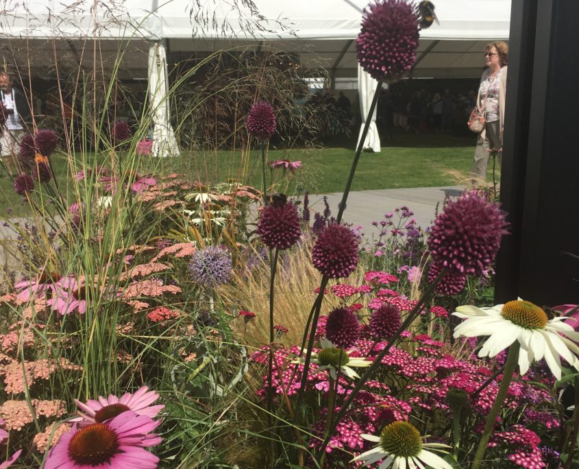 Reaseheath lecturer achieves coveted gold medal at RHS Tatton Park - Reaseheath College