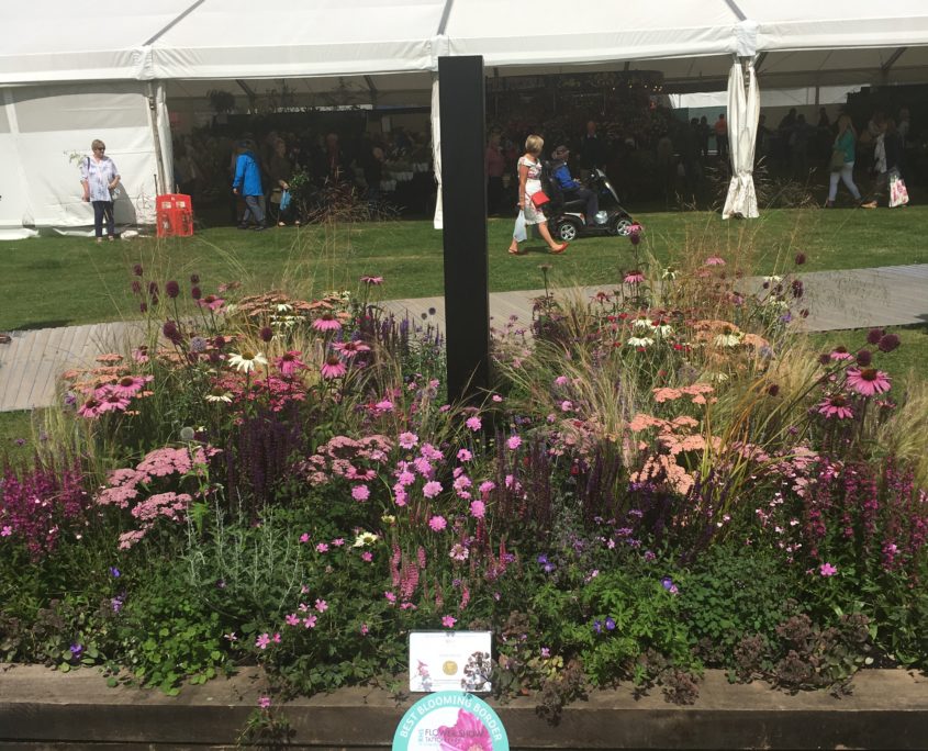Reaseheath lecturer achieves coveted gold medal at RHS Tatton Park - Reaseheath College