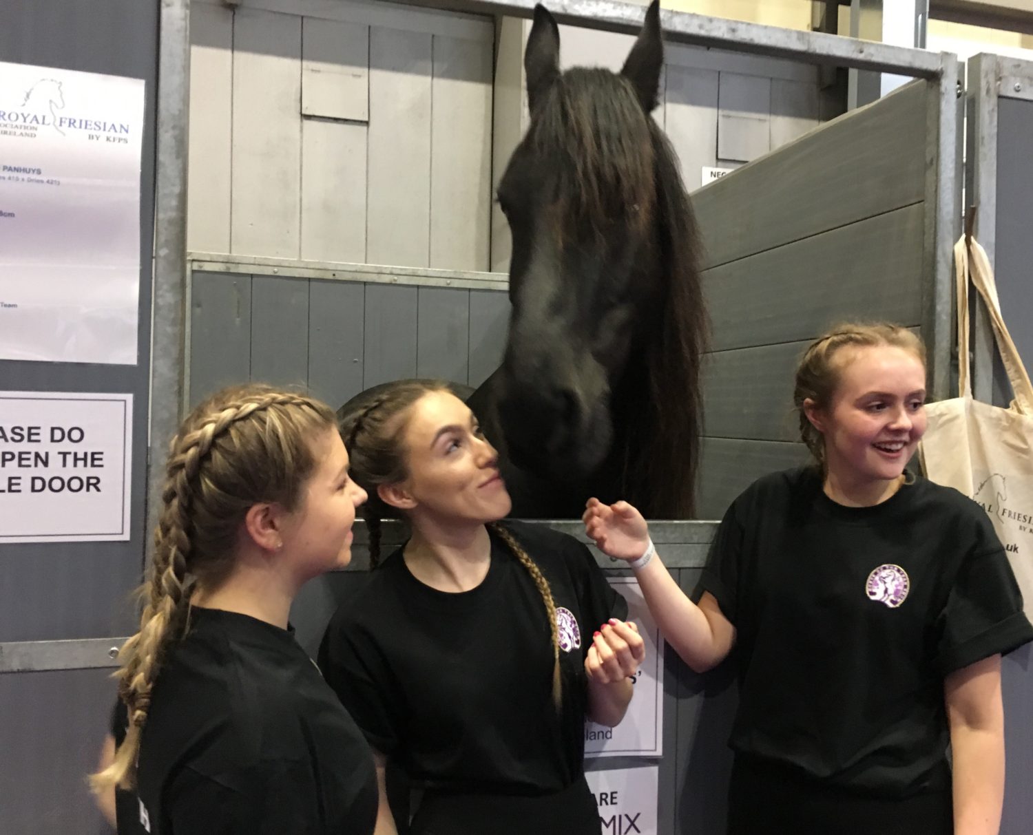 Exceptional HOYS experience for equine students - Reaseheath College