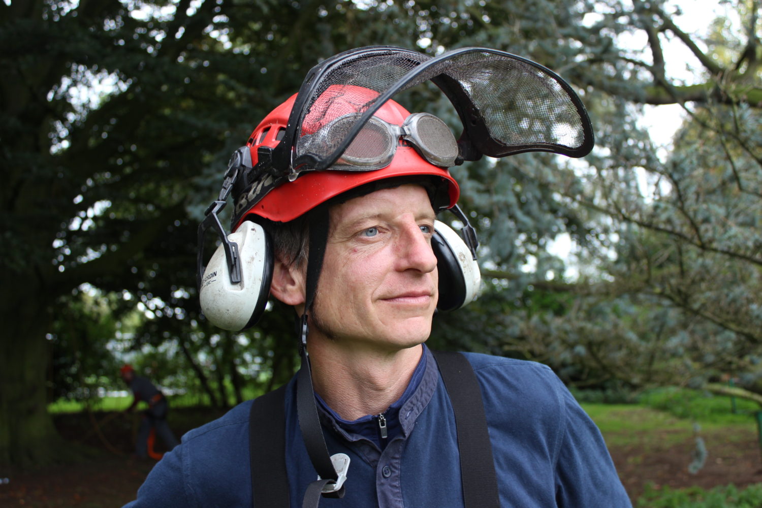 Arborist joins Caribbean international relief effort - Reaseheath College