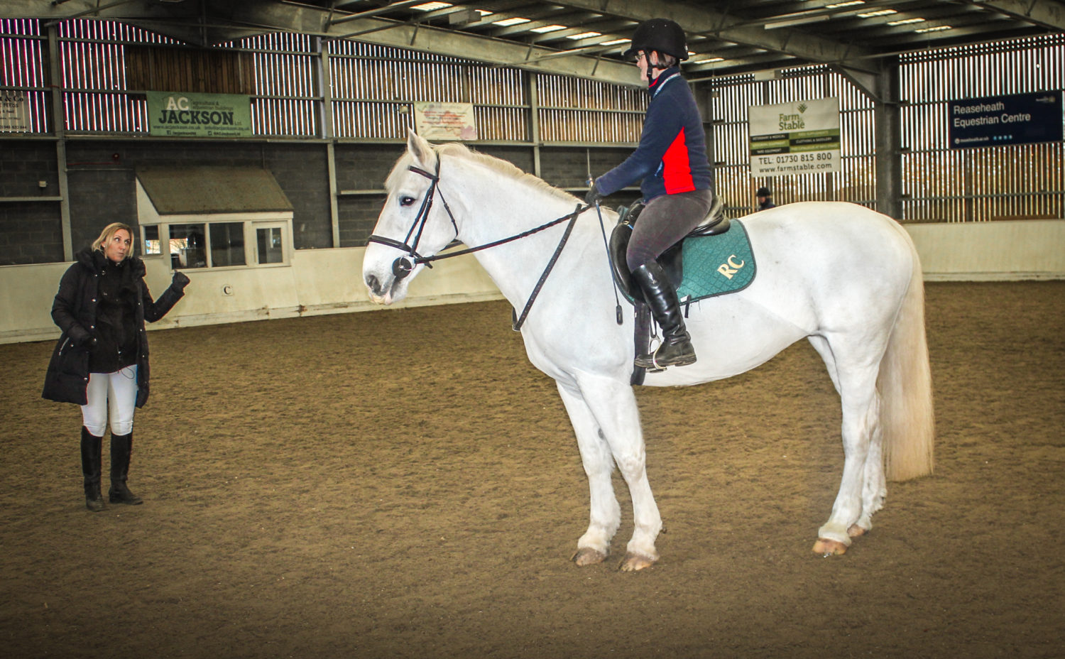 Coaching the coaches in equitation science - Reaseheath College