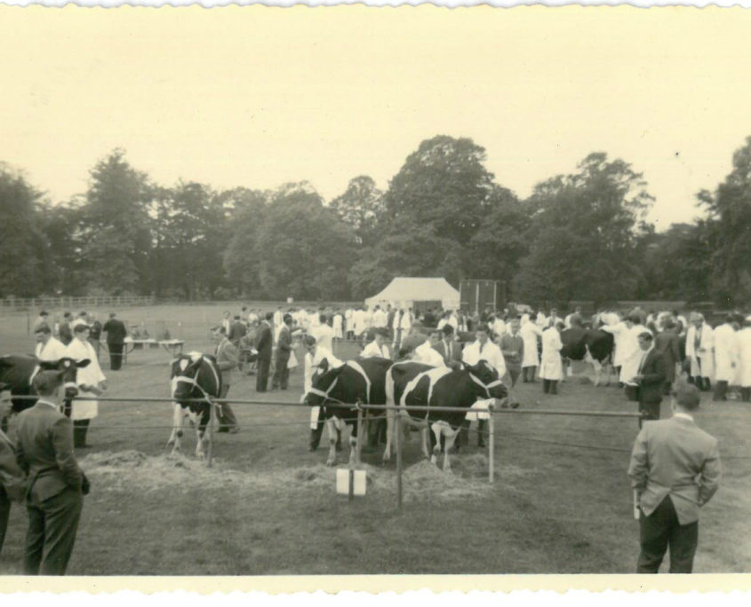 That takes us right back to 1960! - Reaseheath College