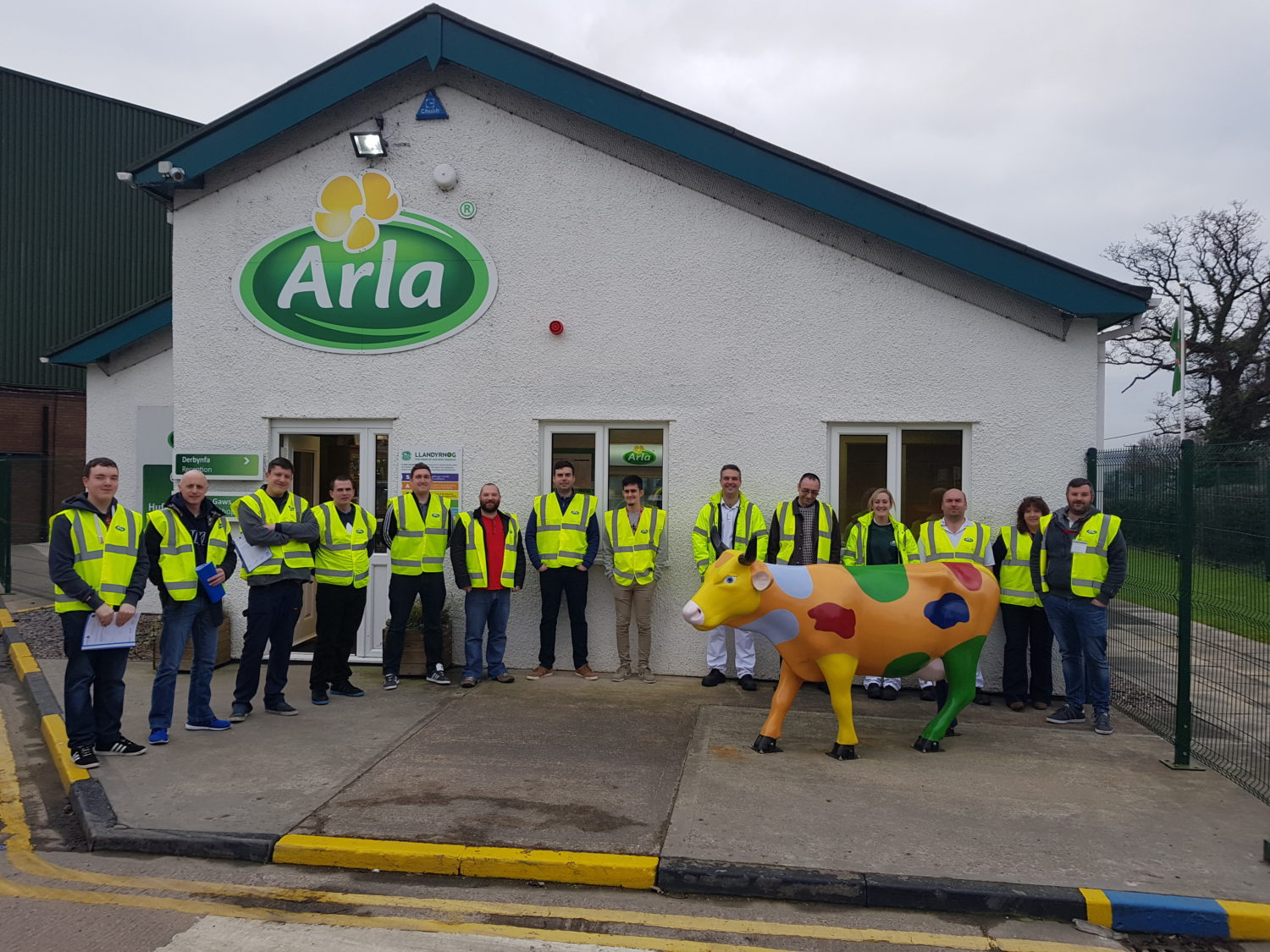 Llaeth y Llan, Glanbia Cheese, Tomlinsons Dairy, Arla Dairy Llandyrnog ...