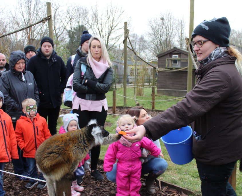 Families flock to Reaseheath Lambing Weekends - Reaseheath College
