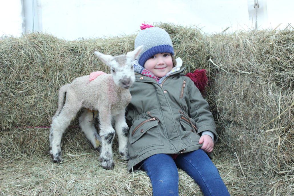 Families flock to Reaseheath Lambing Weekends - Reaseheath College