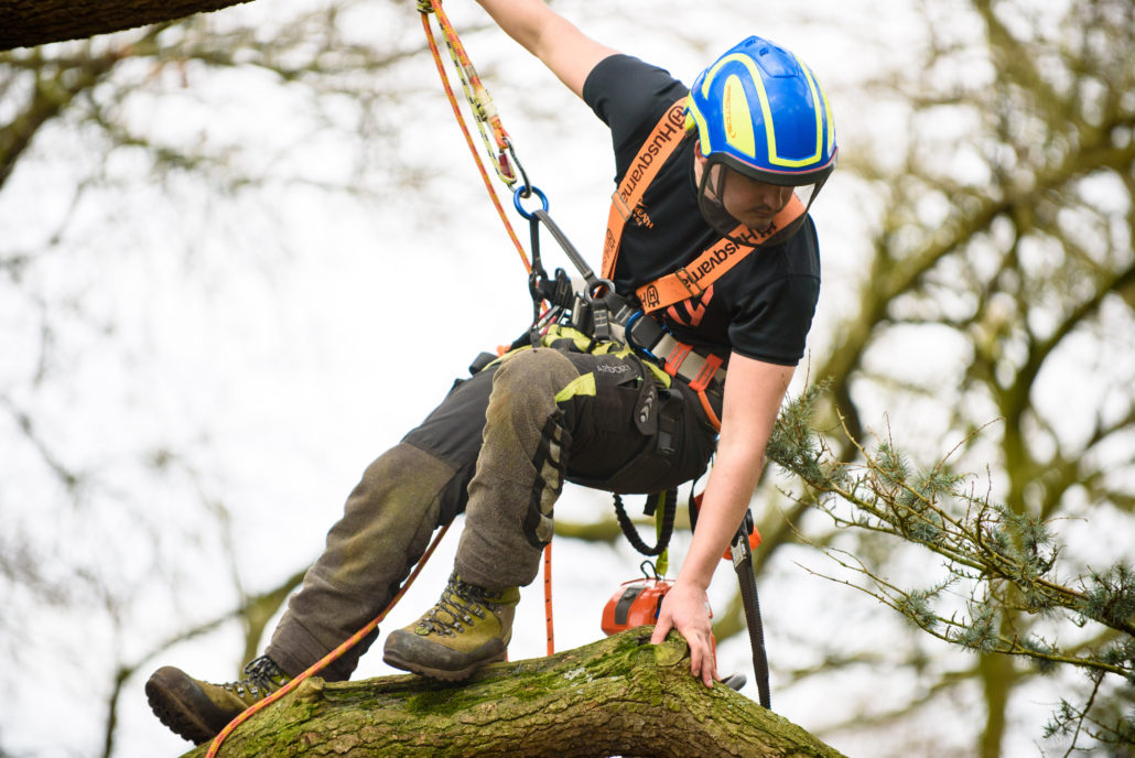 Forestry March 18 (3) - Reaseheath College