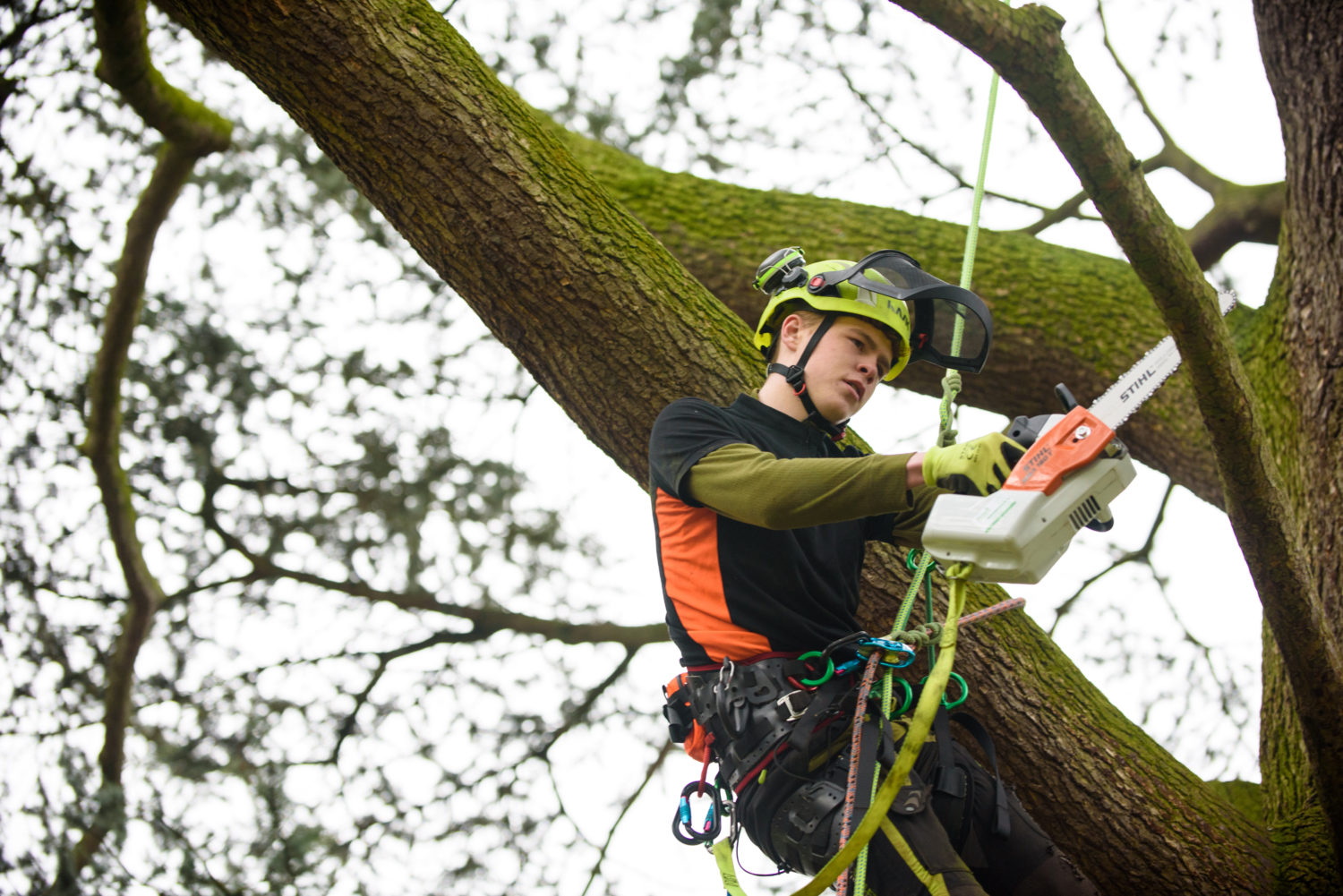 Forestry March 18 (5) - Reaseheath College