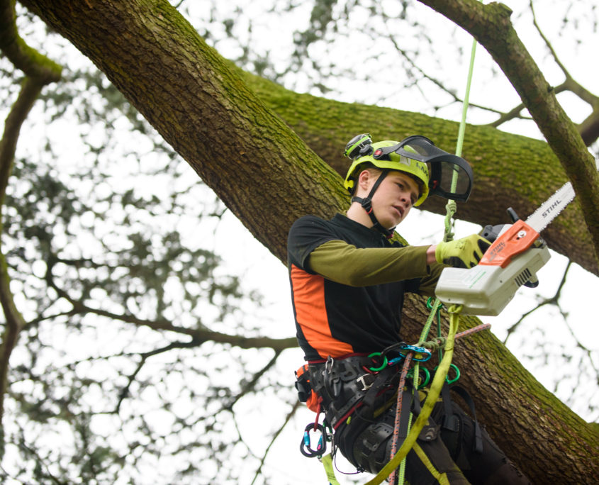 NPTC - Reaseheath College