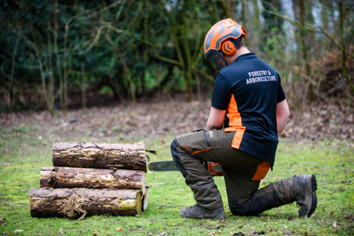 Forestry March 18 (6) - Reaseheath College