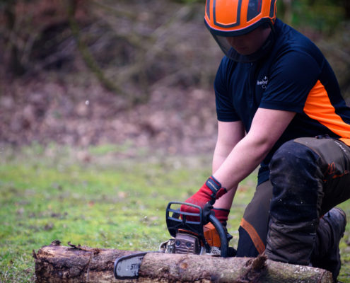 Forestry and Arboriculture - Reaseheath College