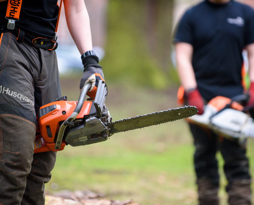 Adult Courses at Reaseheath - Reaseheath College