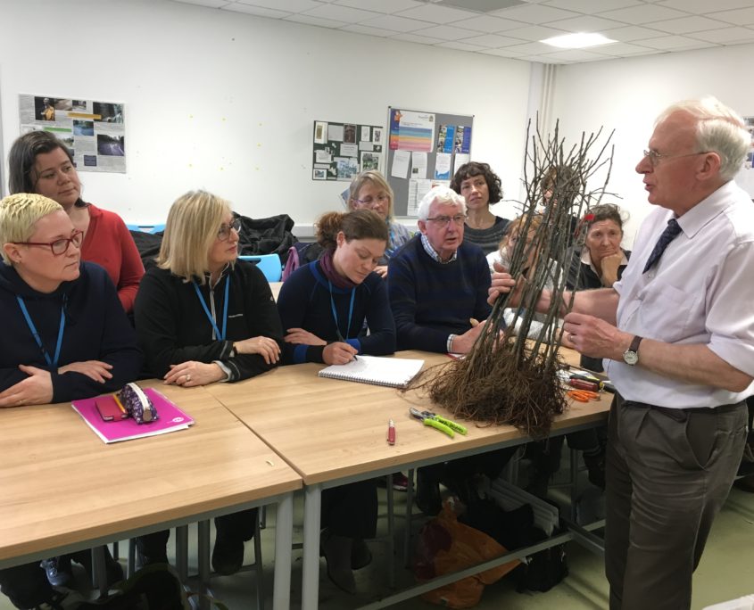 Horticulture Courses for Adult Learners - Reaseheath College