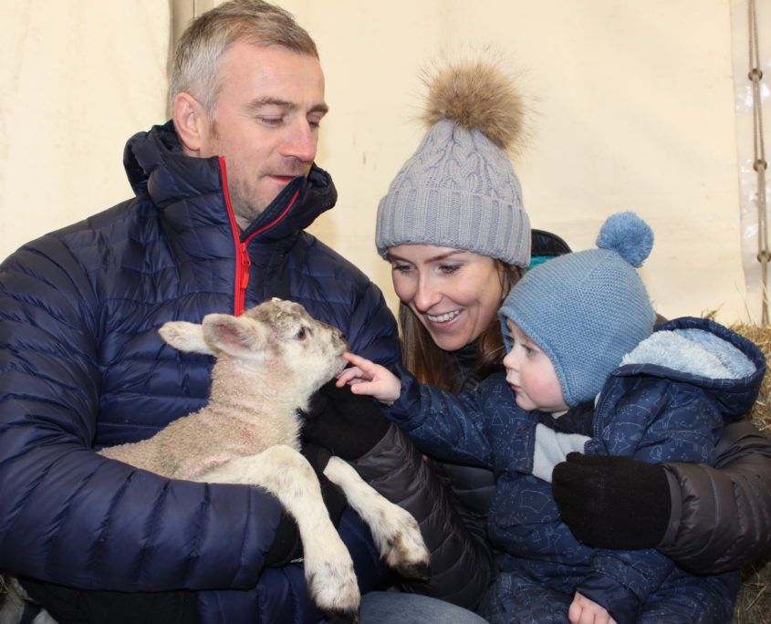 Families flock to Reaseheath Lambing Weekends - Reaseheath College