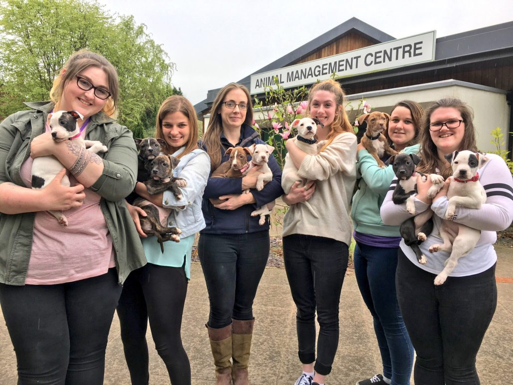Puppies receive first life lessons at Reaseheath College - Reaseheath College