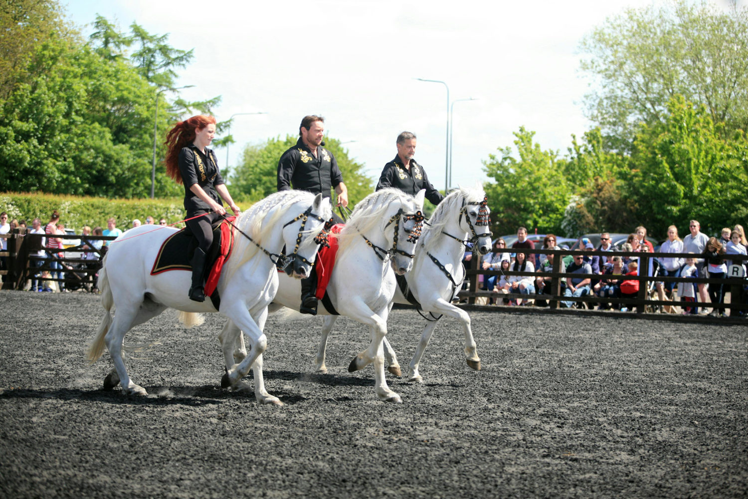 Jonathan Marshall and fellow riders during display - Reaseheath College