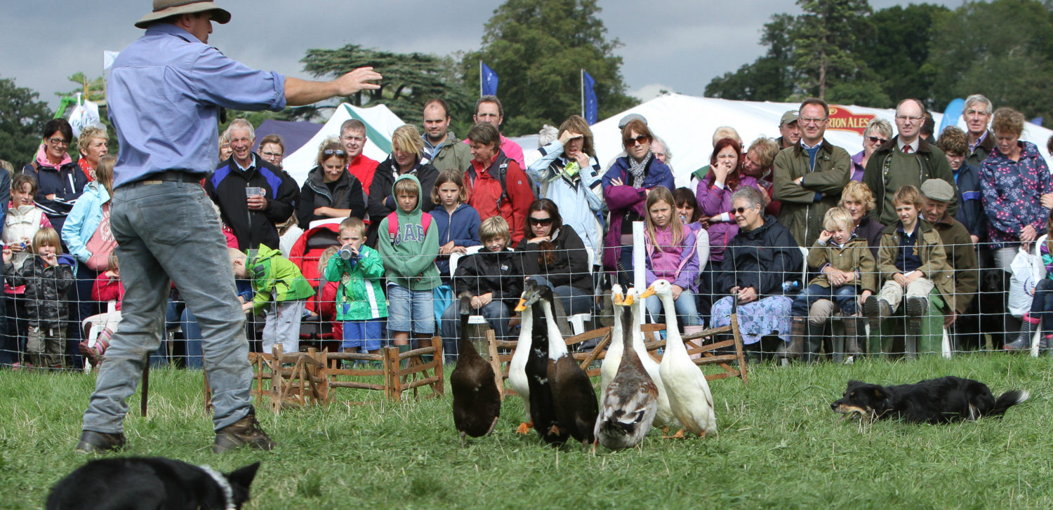 Reaseheath College gears up for Family Festival - Reaseheath College
