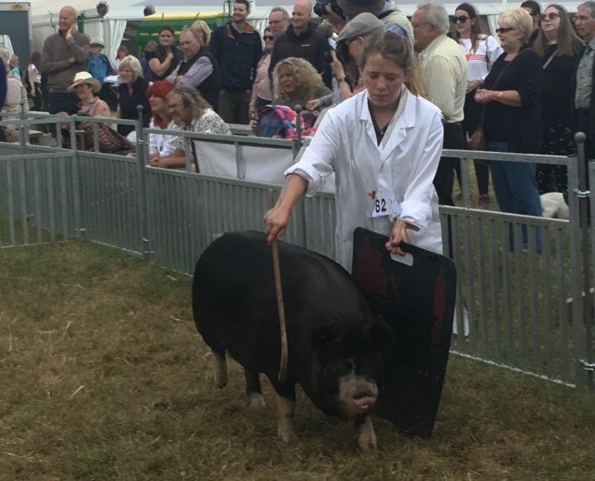 Reaseheath College awarded championship at Royal Cheshire Show - Reaseheath College