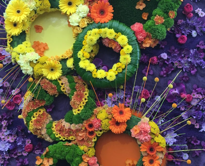 Reaseheath students help RHS Tatton celebrate its big birthday! - Reaseheath College