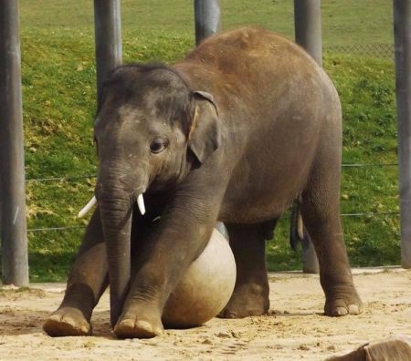 Introducing Lisa Trodden - Reaseheath College