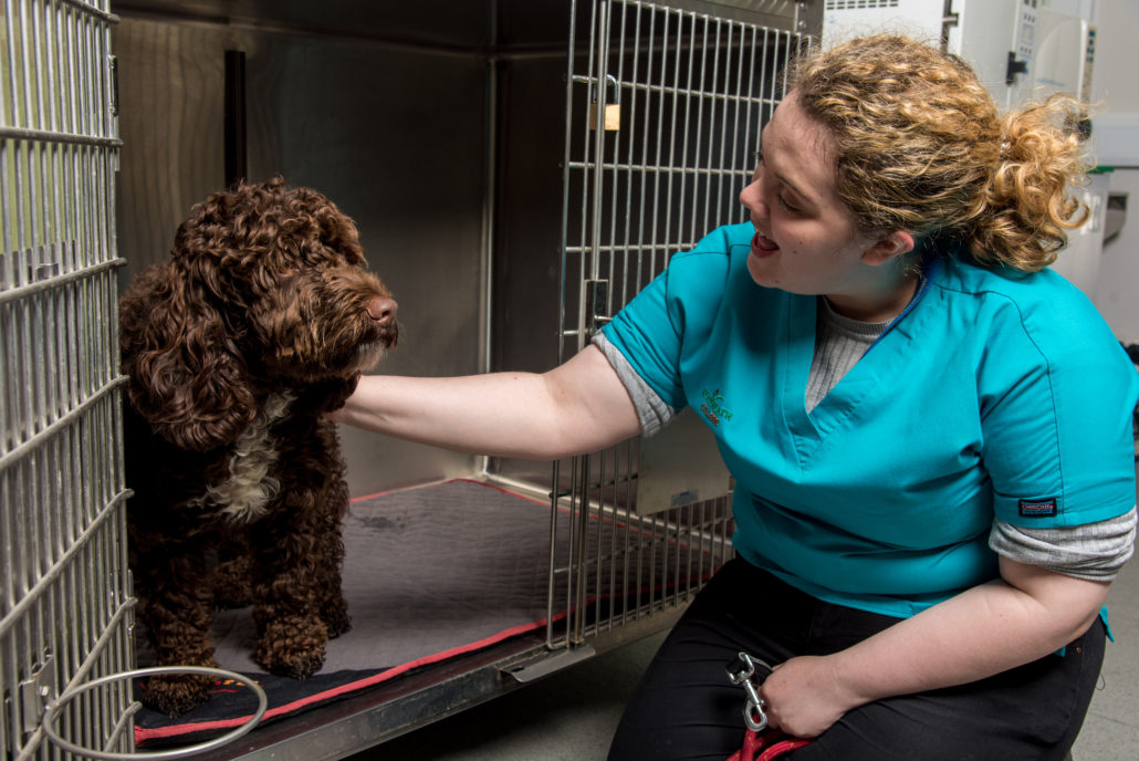 Vet Nursing Dec 17 (1) - Reaseheath College