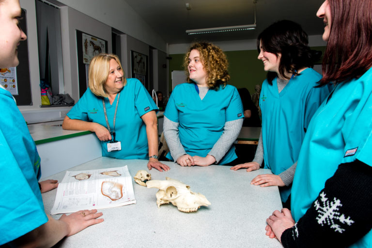 Vet Nursing Dec 17 (4) - Reaseheath College