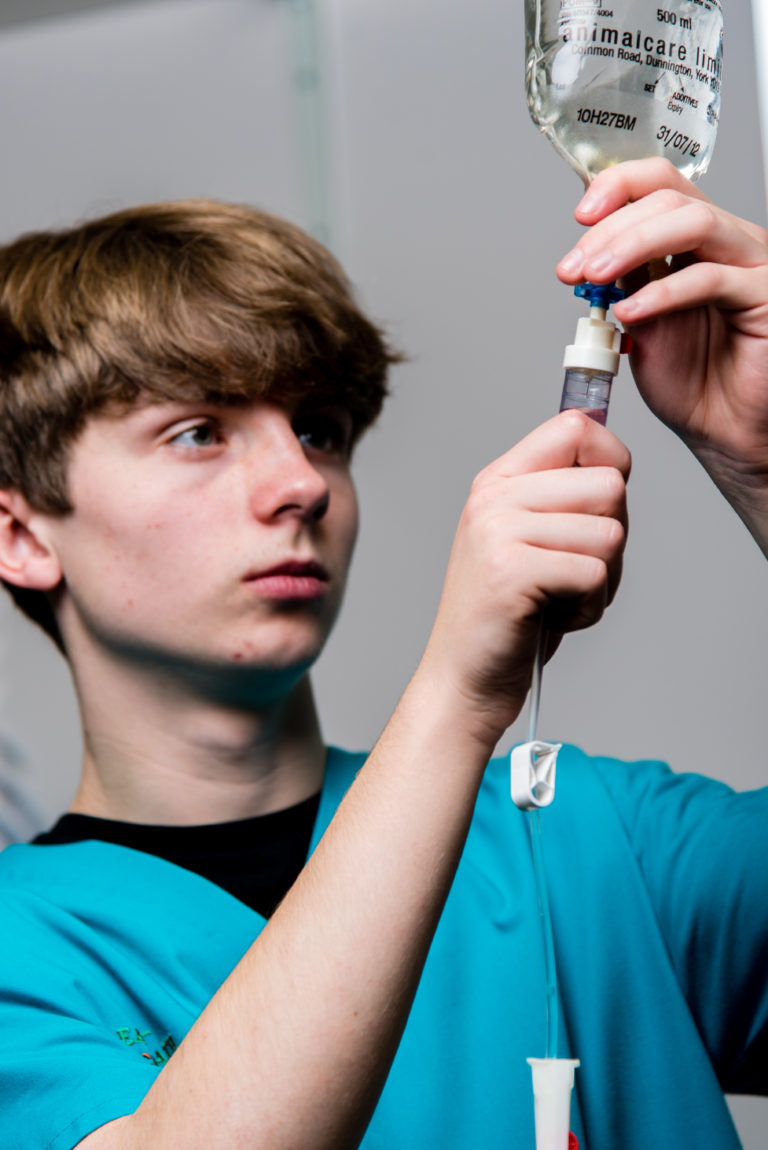 Vet Nursing Dec 17 (5) - Reaseheath College