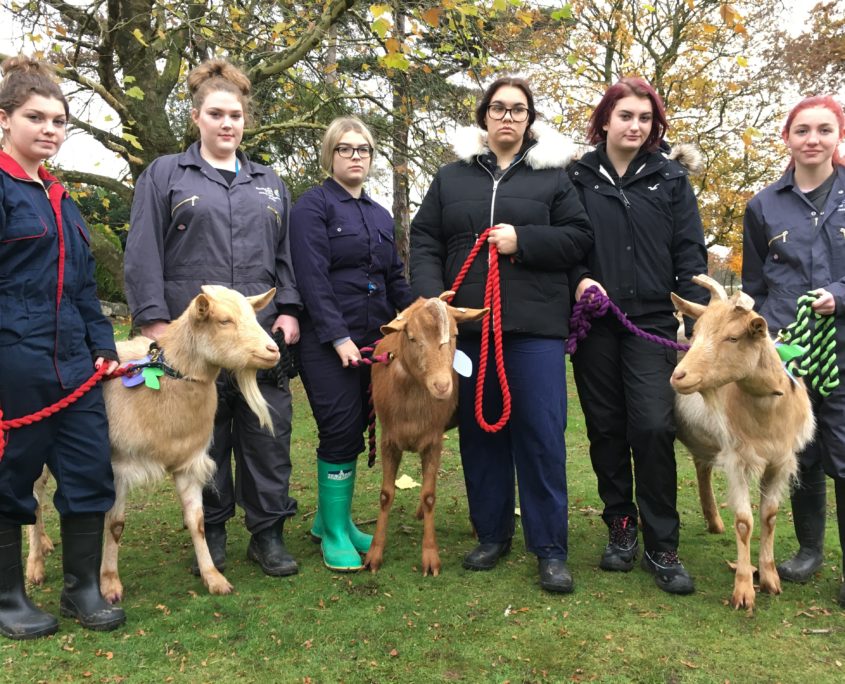 Reaseheath students mark World War 1 centenary - Reaseheath College