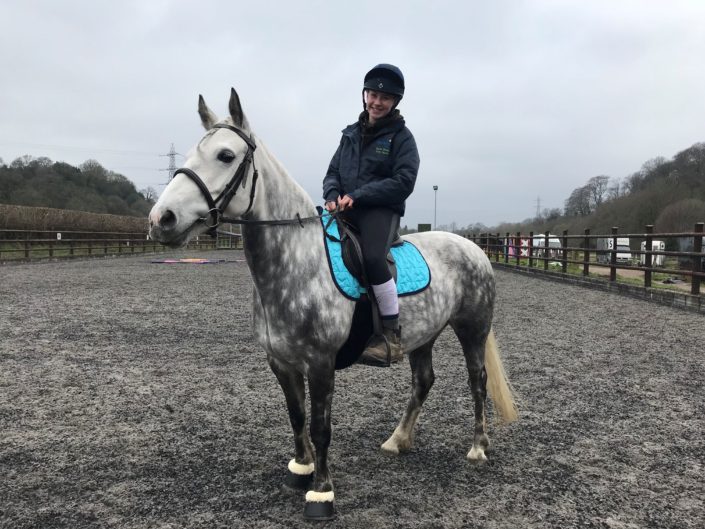 horse - Reaseheath College