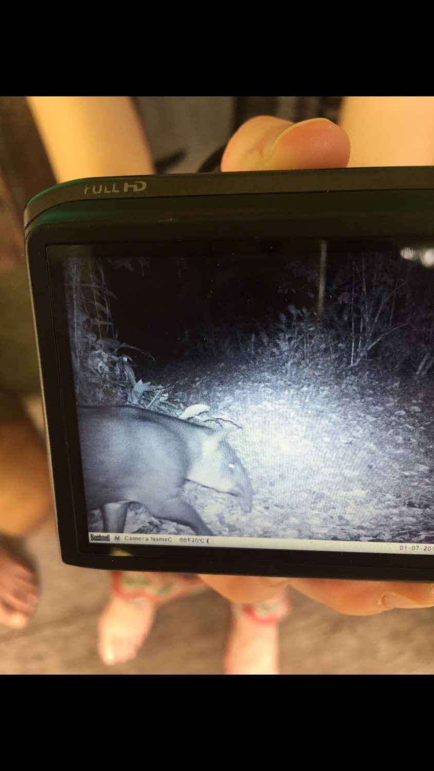 Introducing Matt Russell - Reaseheath College