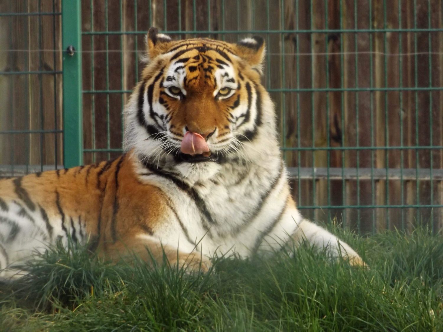 The Student Association, Societies and Jobs on Campus - Reaseheath College