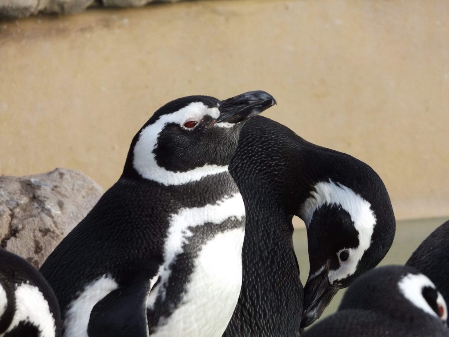 The Student Association, Societies and Jobs on Campus - Reaseheath College