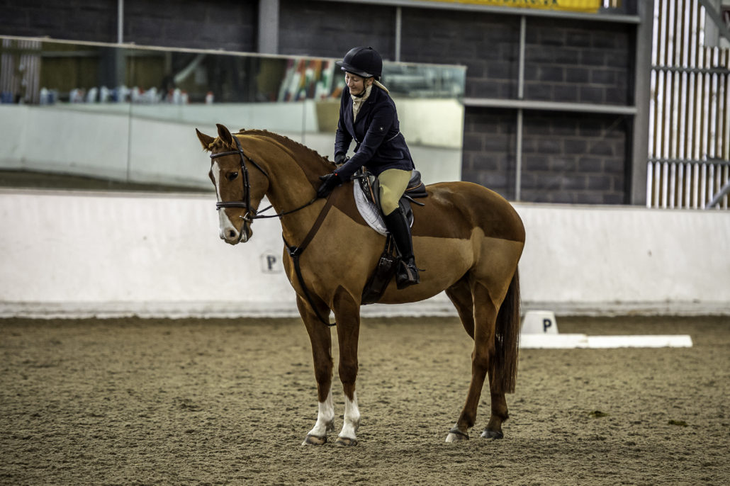 Unaffiliated Dressage - Reaseheath College