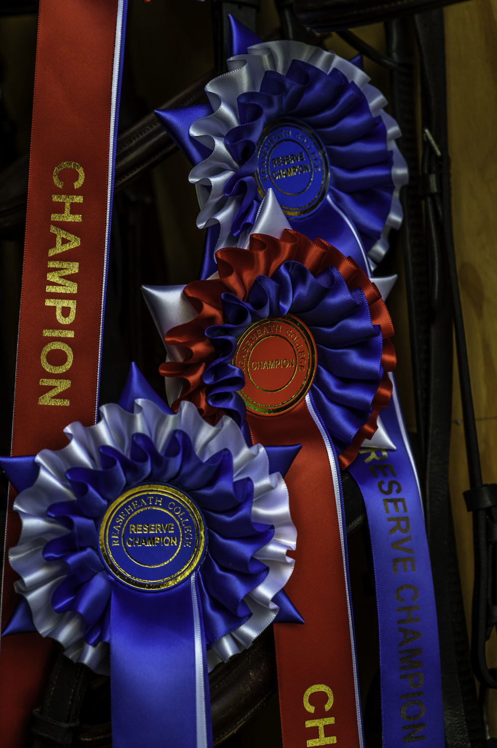 SLP-5 r - Reaseheath College