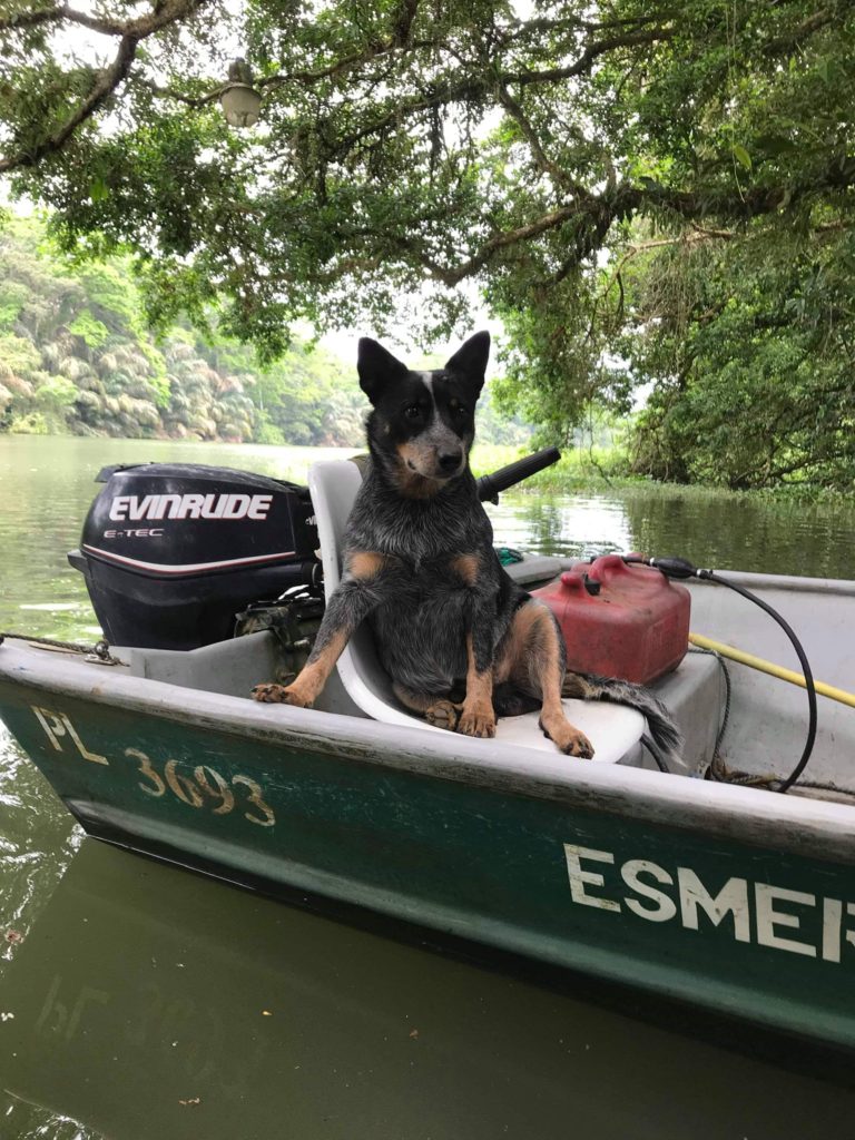 Costa Rica Study Tour 2019 - Reaseheath College