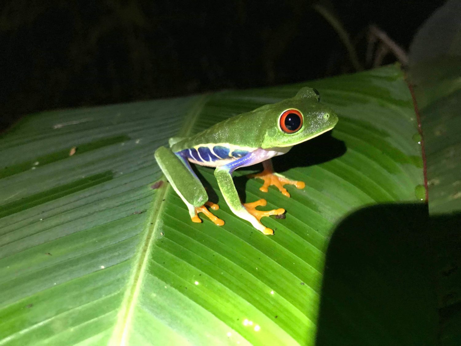 Costa Rica Study Tour 2019 - Reaseheath College