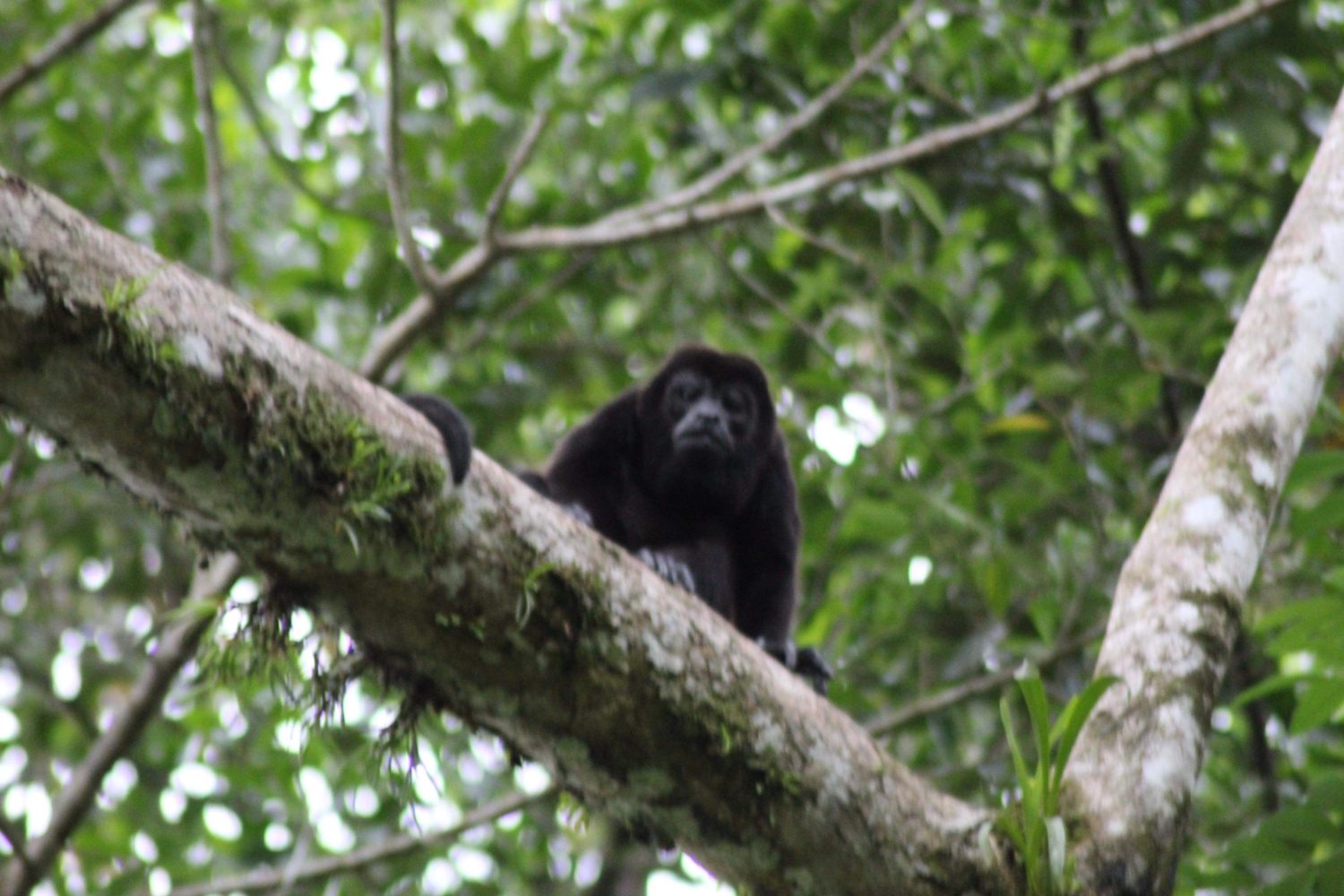 Costa Rica Study Tour 2019 - Reaseheath College