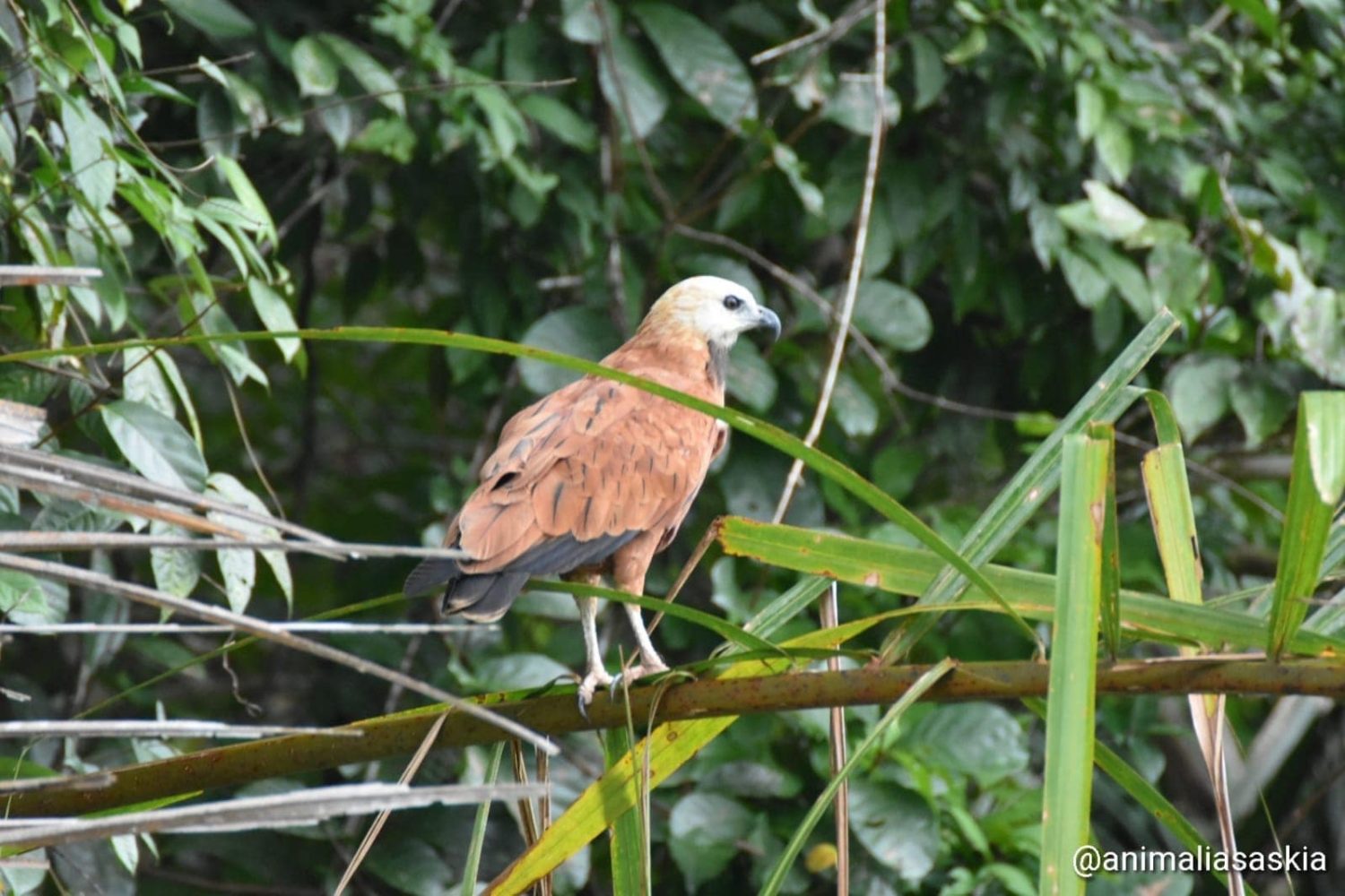 Costa Rica Study Tour 2019 - Reaseheath College