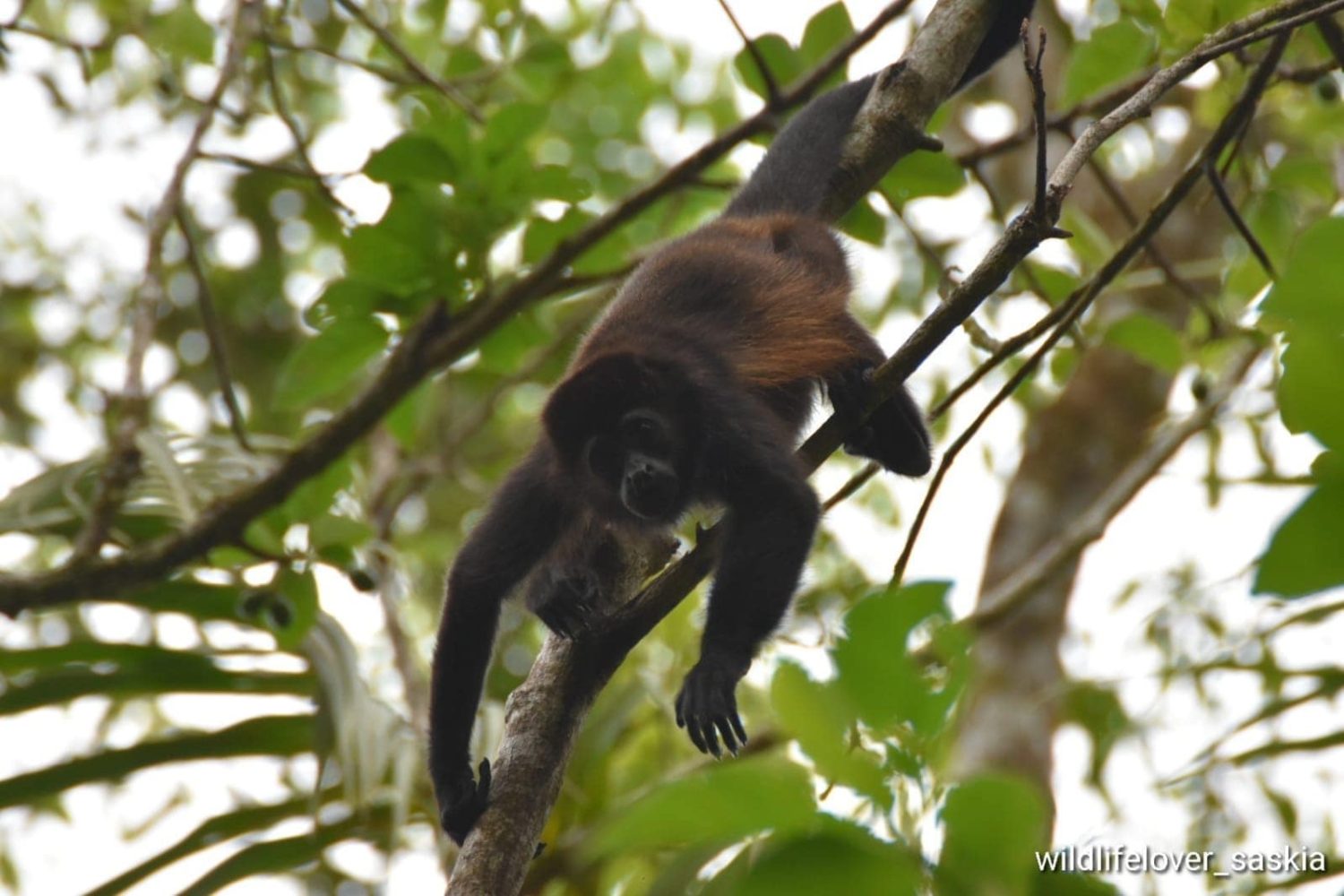 Costa Rica Study Tour 2019 - Reaseheath College