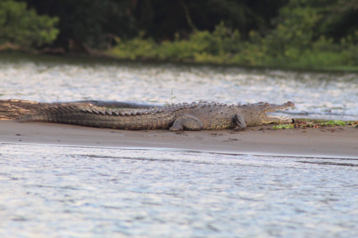 Costa Rica Study Tour 2019 - Reaseheath College