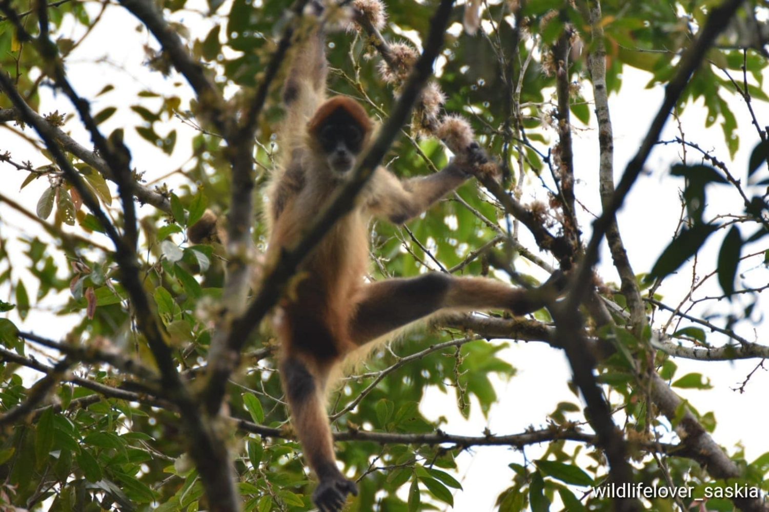 Costa Rica Study Tour 2019 - Reaseheath College