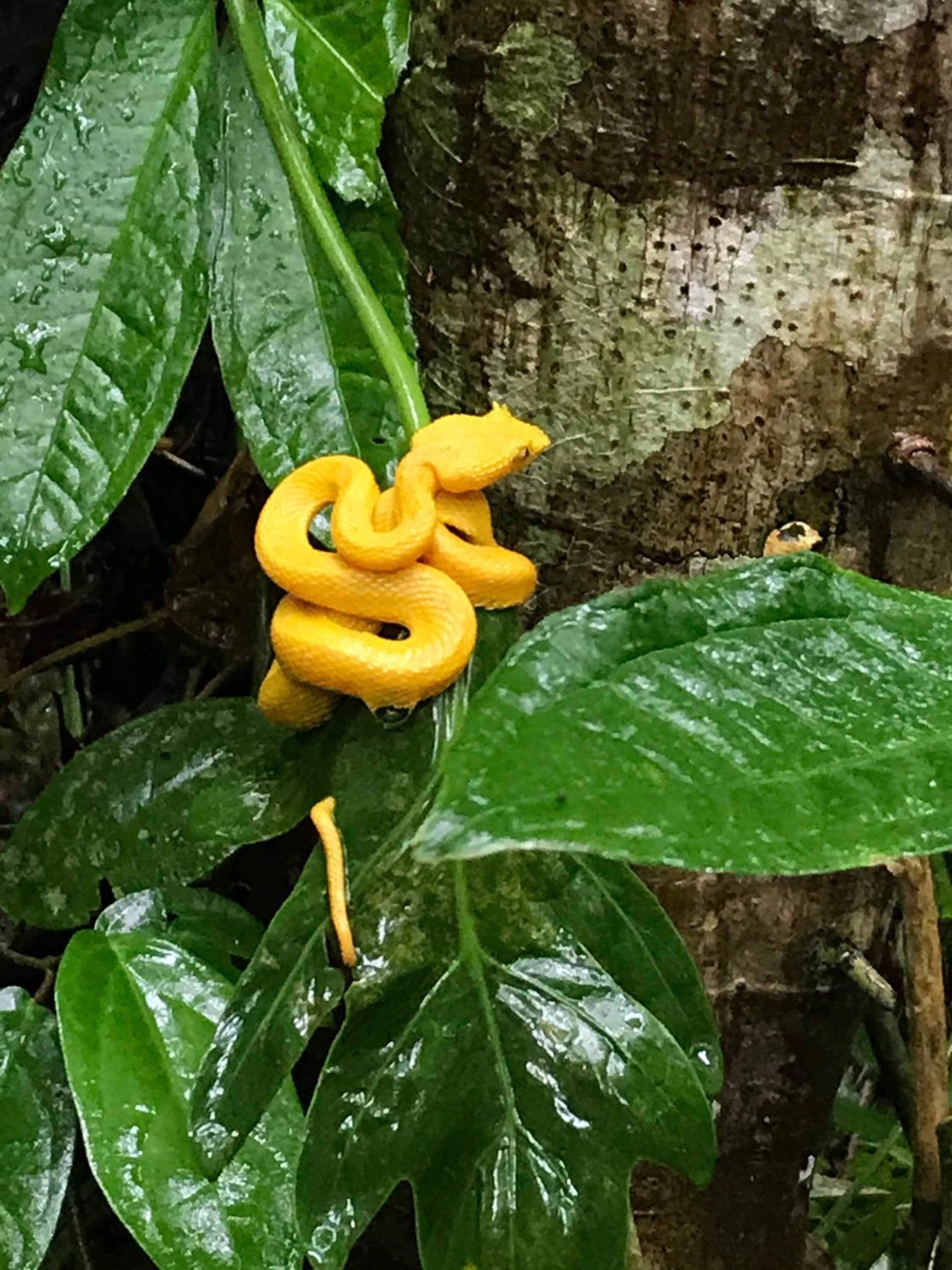 Costa Rica Study Tour 2019 - Reaseheath College