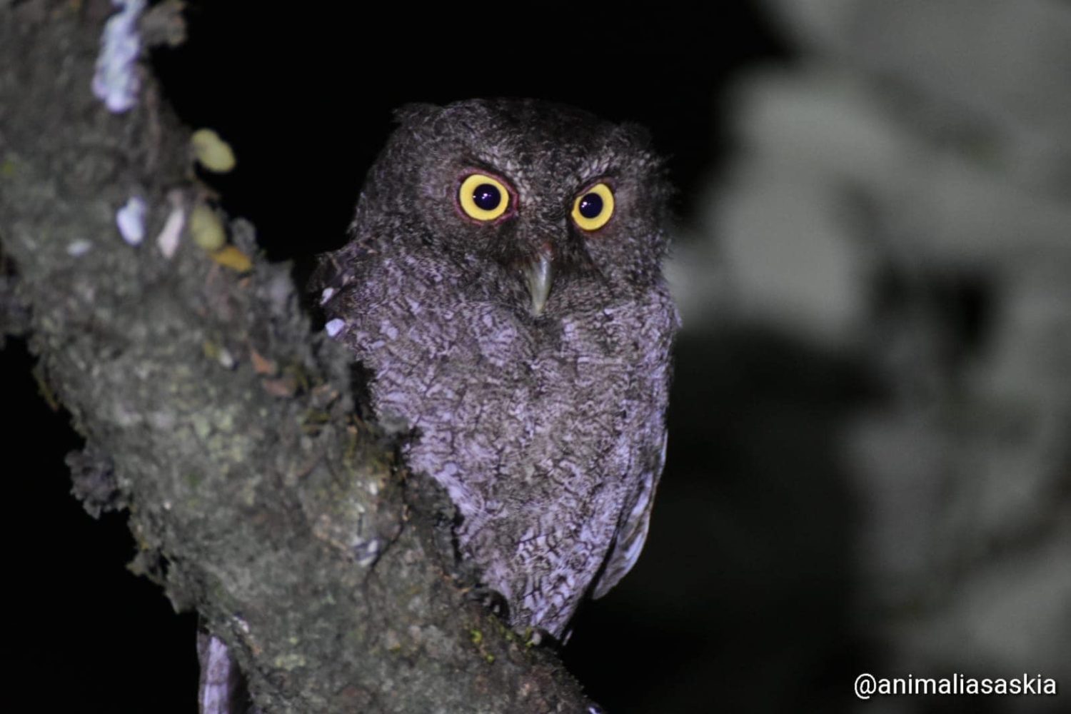 Costa Rica Study Tour 2019 - Reaseheath College