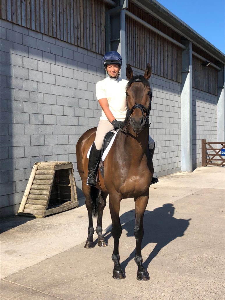 Equestrian Centre horse 1 - Reaseheath College