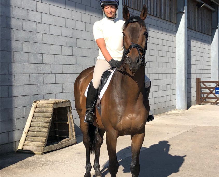 Equine short courses - Reaseheath College