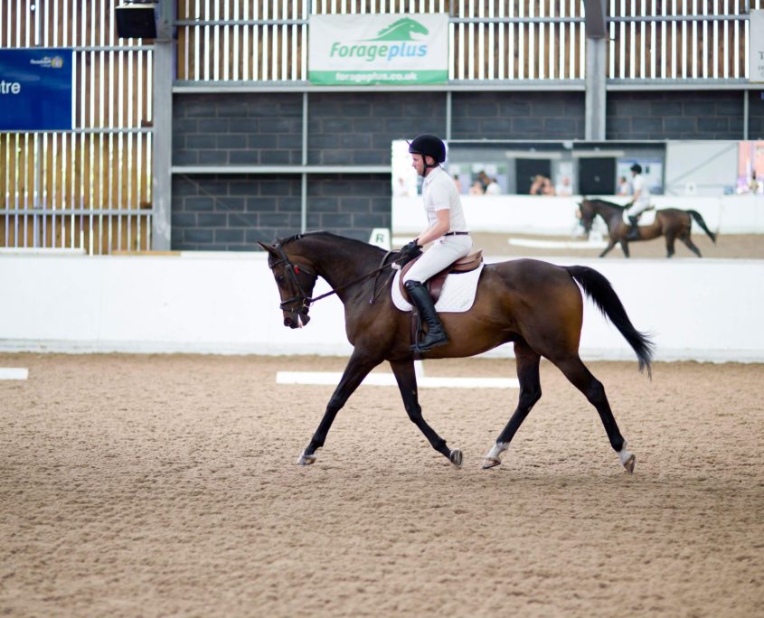 Equine short courses - Reaseheath College