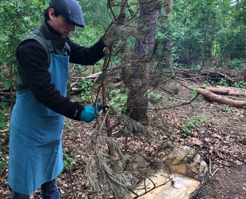 Reaseheath Forest College - Reaseheath College