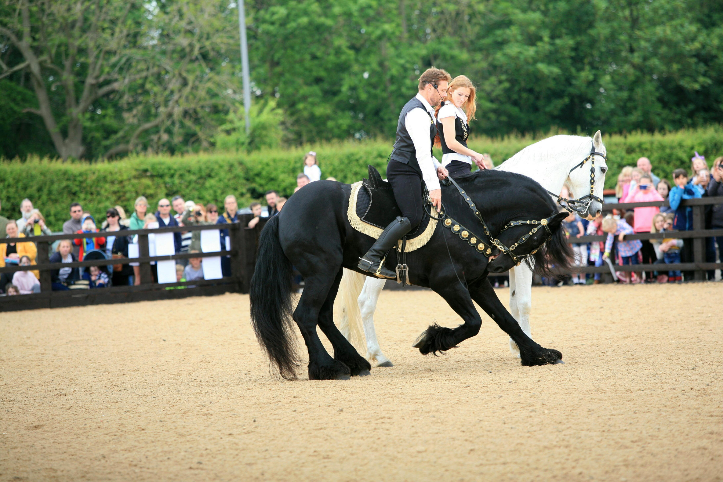 Reaseheath’s Family Festival ‘best ever’ - Reaseheath College